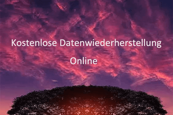 So stellen Sie die Daten kostenlos online wieder her - MiniTool