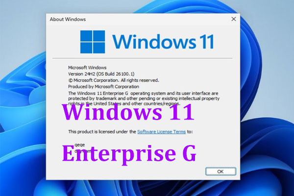 Was ist Windows 11 Enterprise G oder Government Edition?