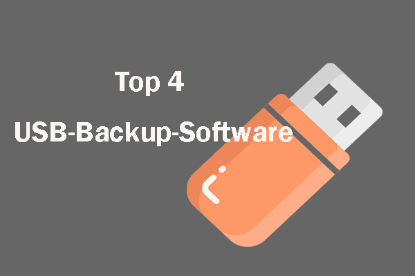 Top 4 USB-Backup-Software für Windows 10/11: Welche sollte man wählen?
